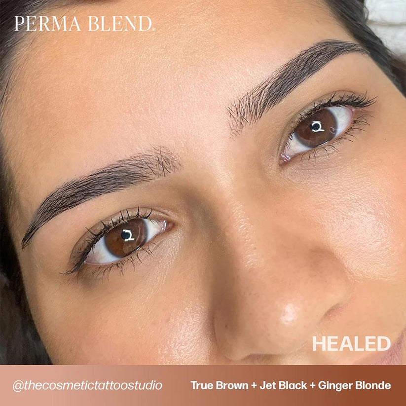 True Brown — Perma Blend — 1/2oz Bottle | PainfulPleasures