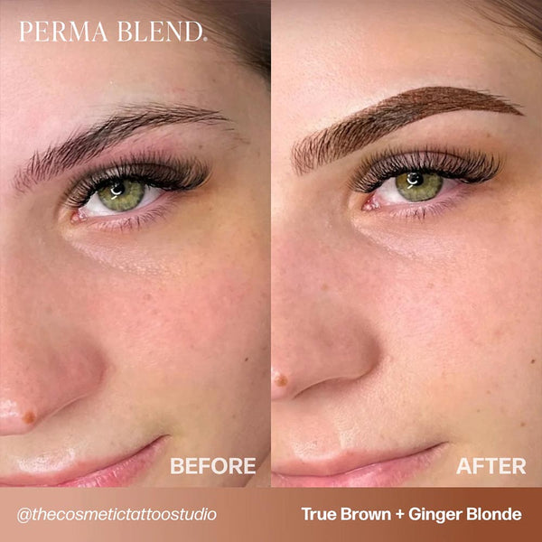 True Brown — Perma Blend — 1/2oz Bottle | PainfulPleasures