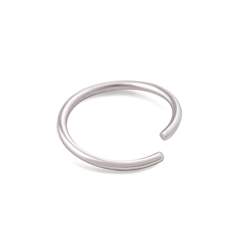 18g Seamless Annealed Stainless Steel Ring | Painful Pleasures