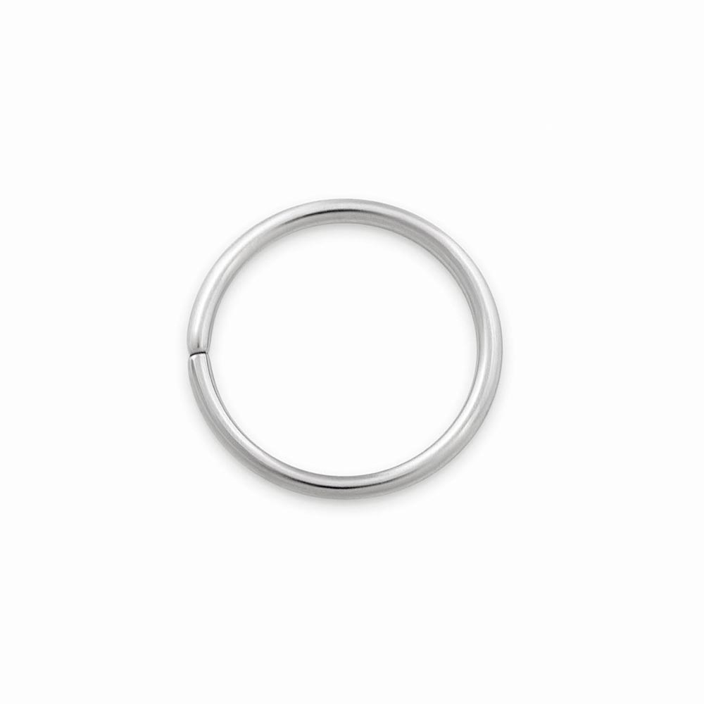 18g Seamless Annealed Stainless Steel Ring | Painful Pleasures
