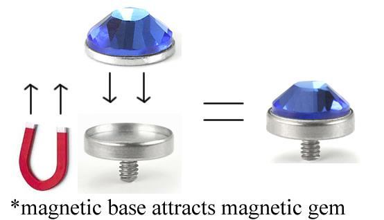 Tilum 14g - 12g Internally Threaded 5mm Magnetic Dermal Base for ...