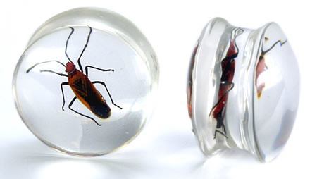 Red Bug or Pyrrhocorid inside an Acrylic Plug for Gauged Ears - 16mm ...