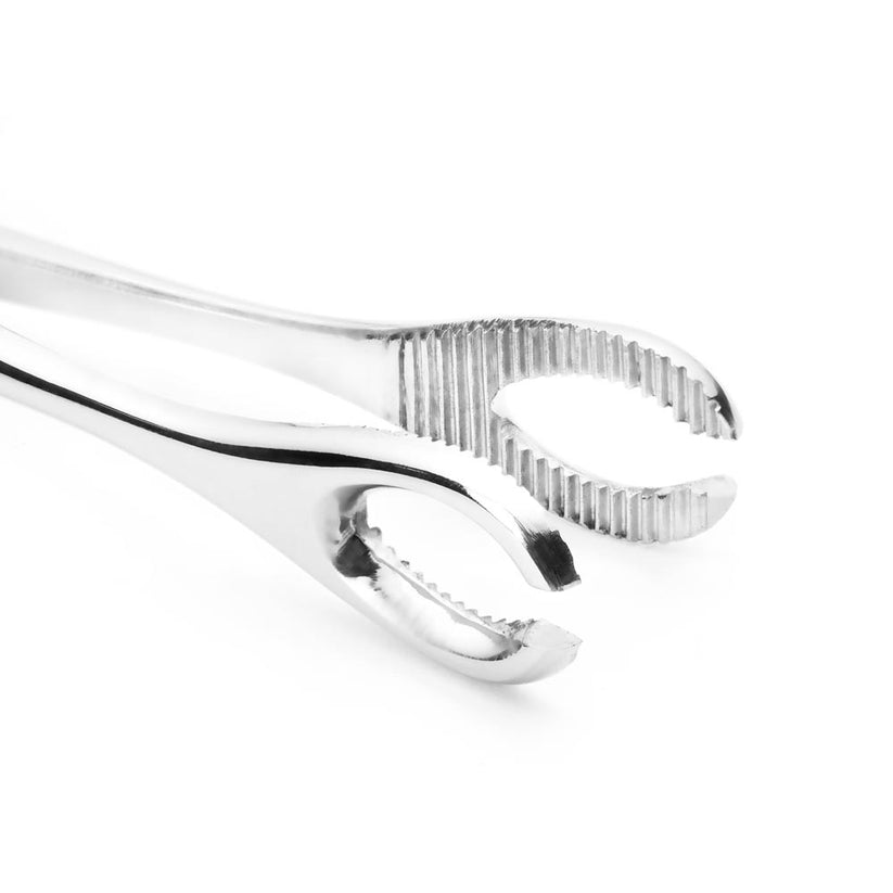 Forester (Sponge) 7” Slotted Steel Forceps | PainfulPleasures