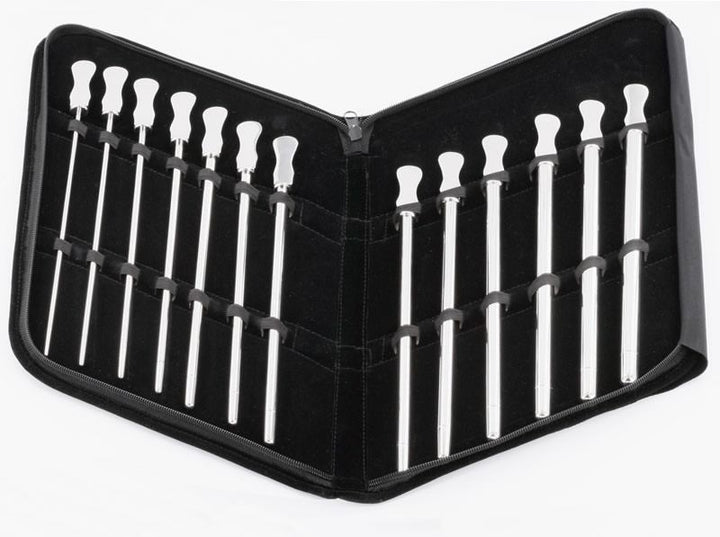 Prince Albert Jewelry | PA Rings & Wands – Painful Pleasures