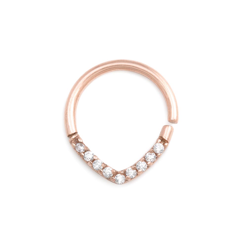 Seamless Ring Piercing Jewelry – Painful Pleasures