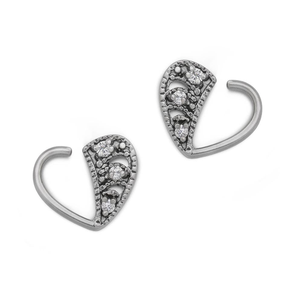Seamless Ring Piercing Jewelry – Painful Pleasures