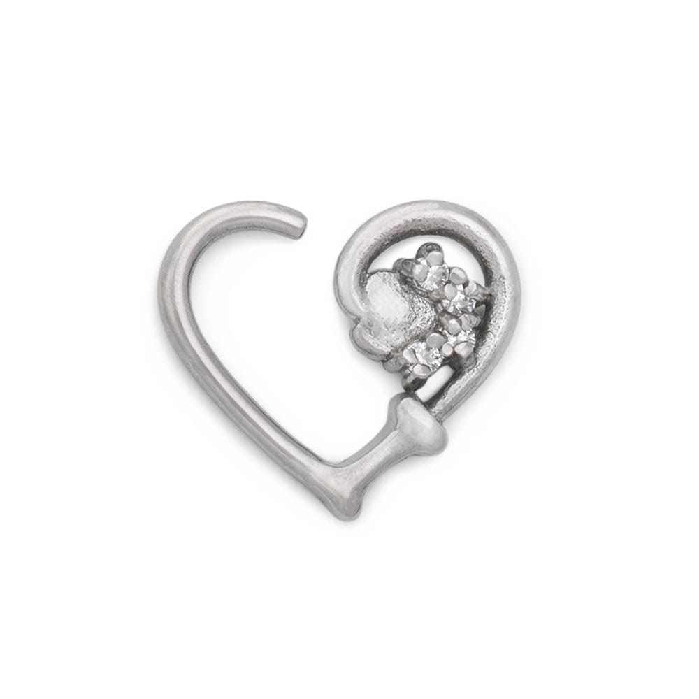 Seamless Ring Piercing Jewelry – Painful Pleasures